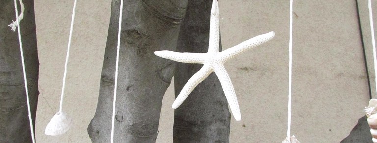 Boho Seashell Mobile or What To Do With All Your Seashells – HOME ON ...