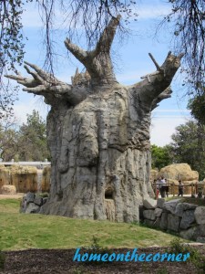 We Went To The Zoo! – HOME ON THE CORNER