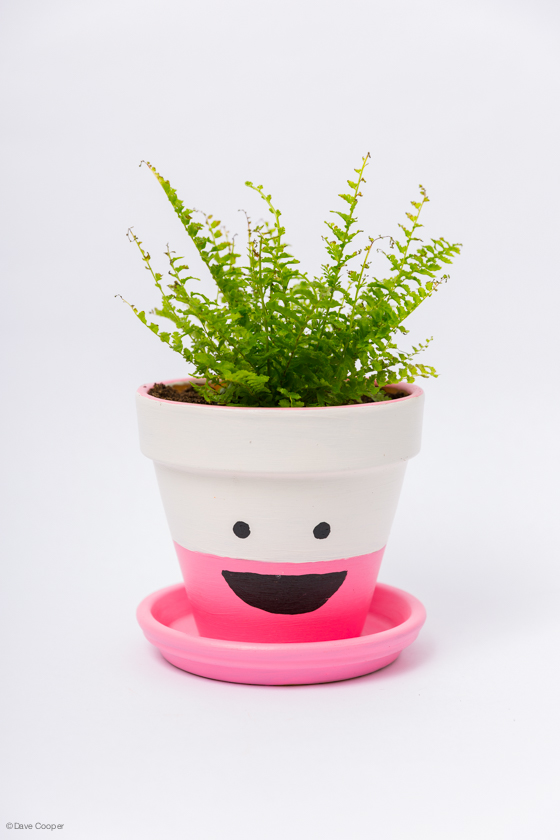Cute Flower Pots – HOME ON THE CORNER